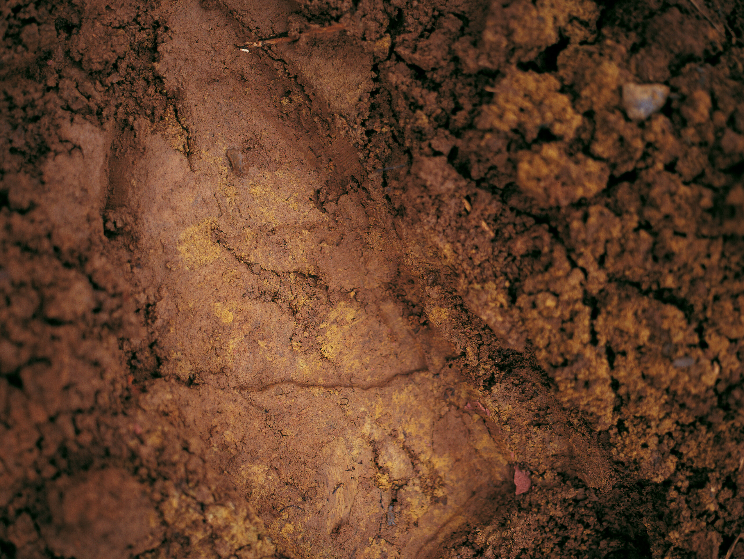 Clay roof tiles - Products - CREATON